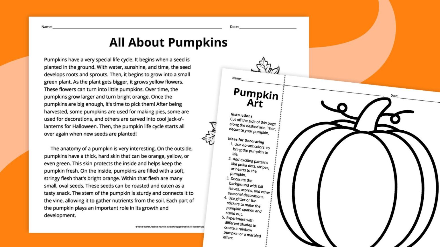 Pumpkin Life Cycle Worksheets for Kids (Free Printables)