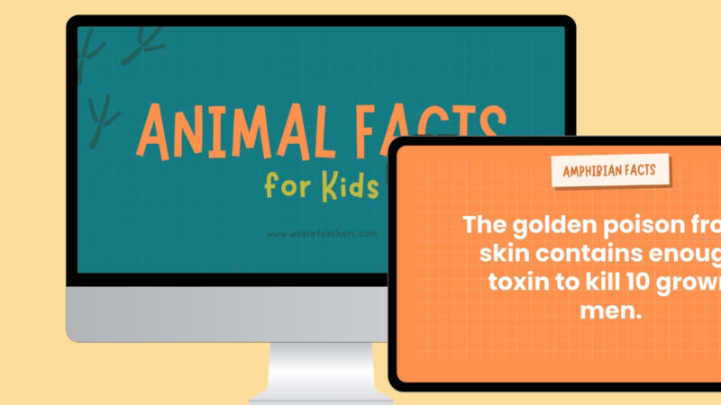 300+ Amazing Animal Facts for Kids