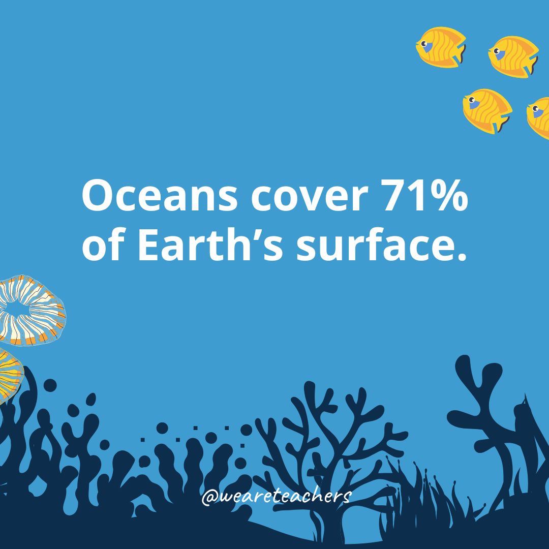 53 Ocean Facts That Will Amaze You