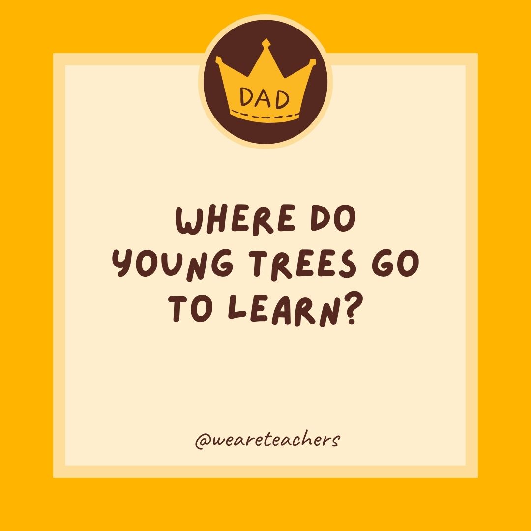 300 Cheesy Dad Jokes Everyone Will Love - Asha Modern School