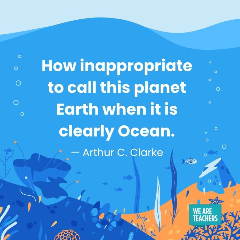 75 Ocean Quotes That Inspire Wonder and Reflection