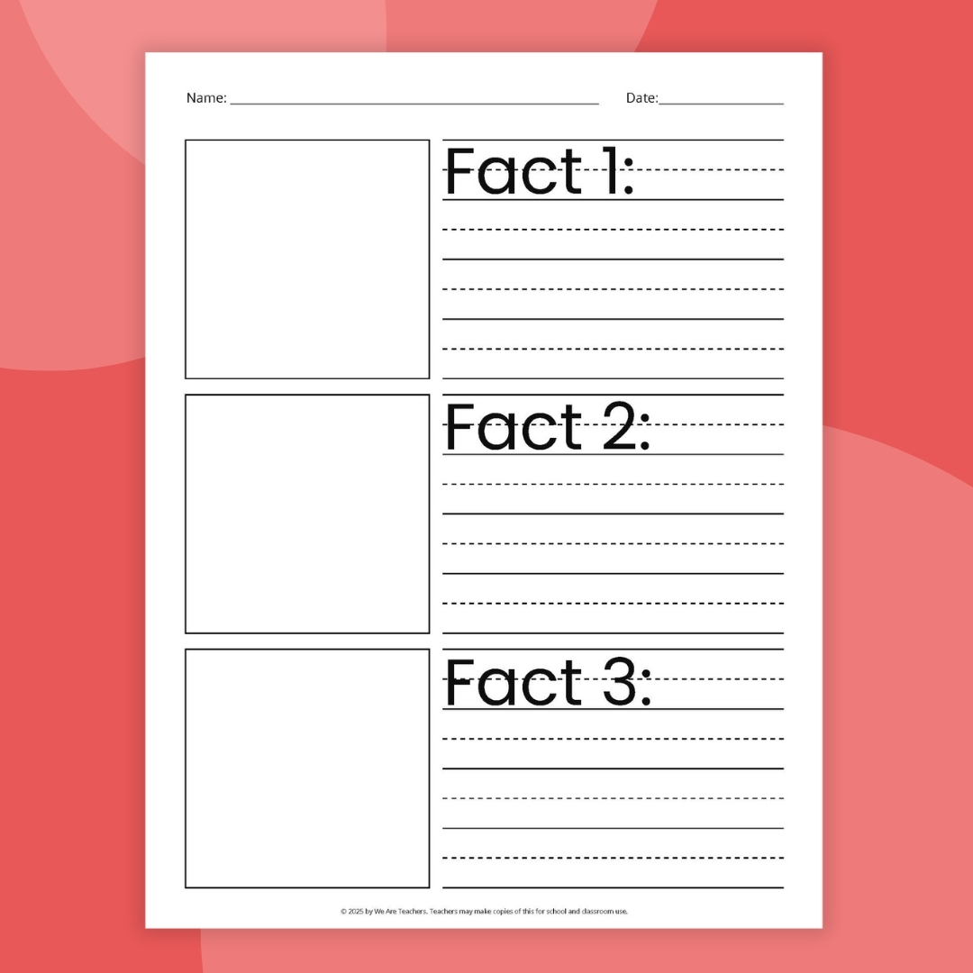 Free Printable Informational Writing Graphic Organizer Bundle