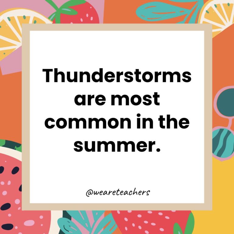 25 Fun and Fascinating Facts About Summer