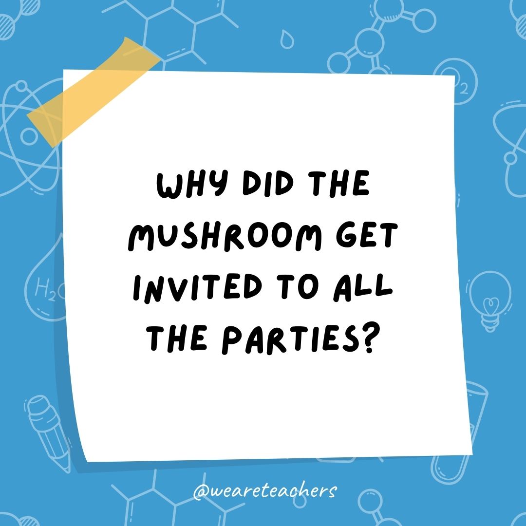 125 Cheesy Science Jokes To Lighten the Lab
