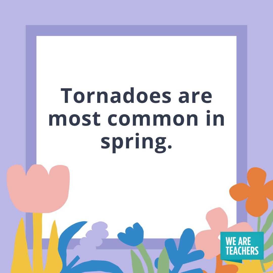 25 Fun Facts About Spring To Brighten Your Day