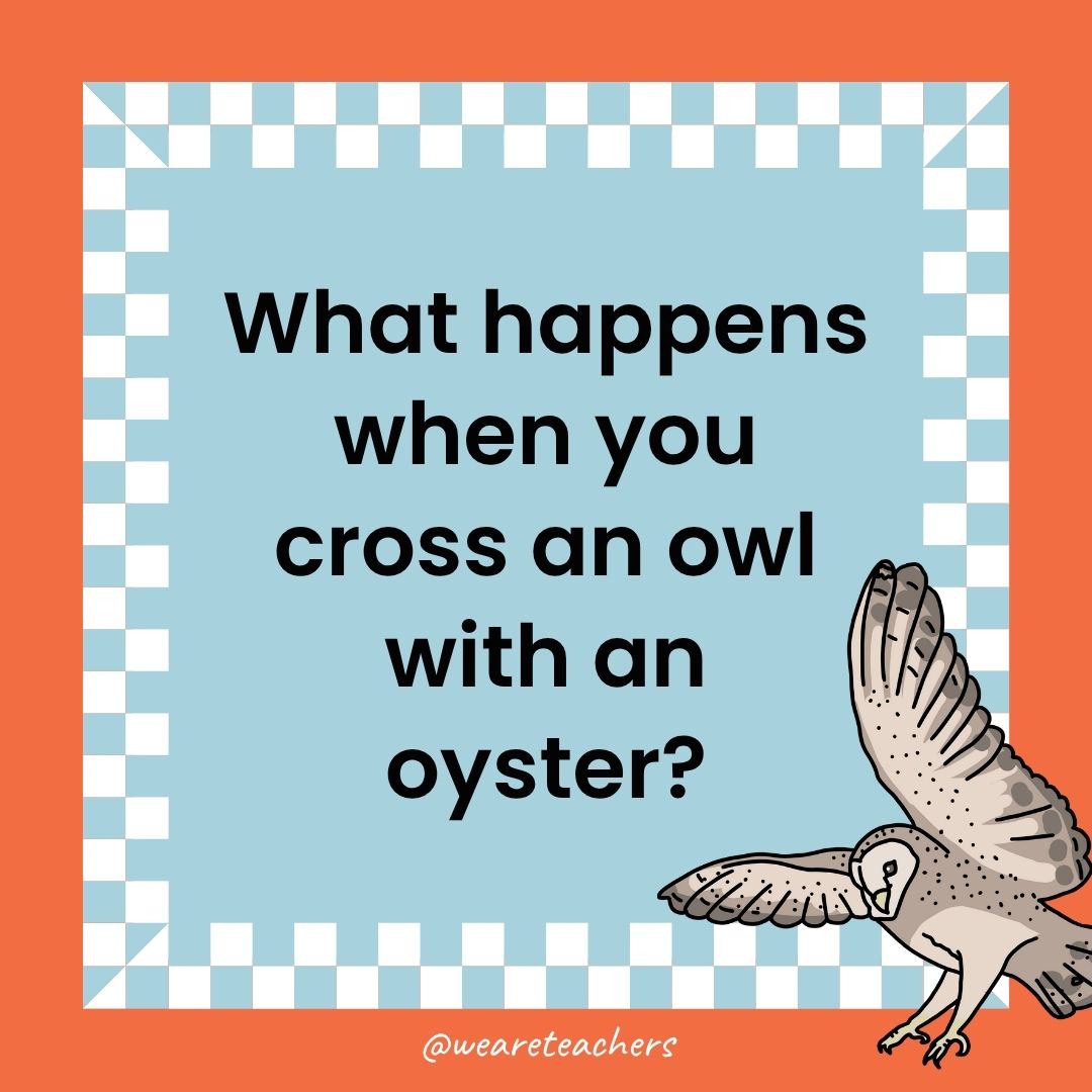 80 Owl Jokes That Are a Hoot