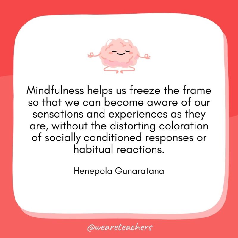 110 Inspiring Mindfulness Quotes for Everyday Life
