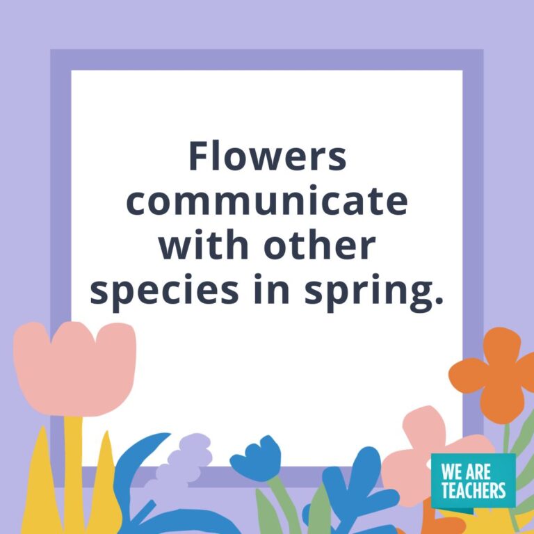 25 Fun Facts About Spring To Brighten Your Day