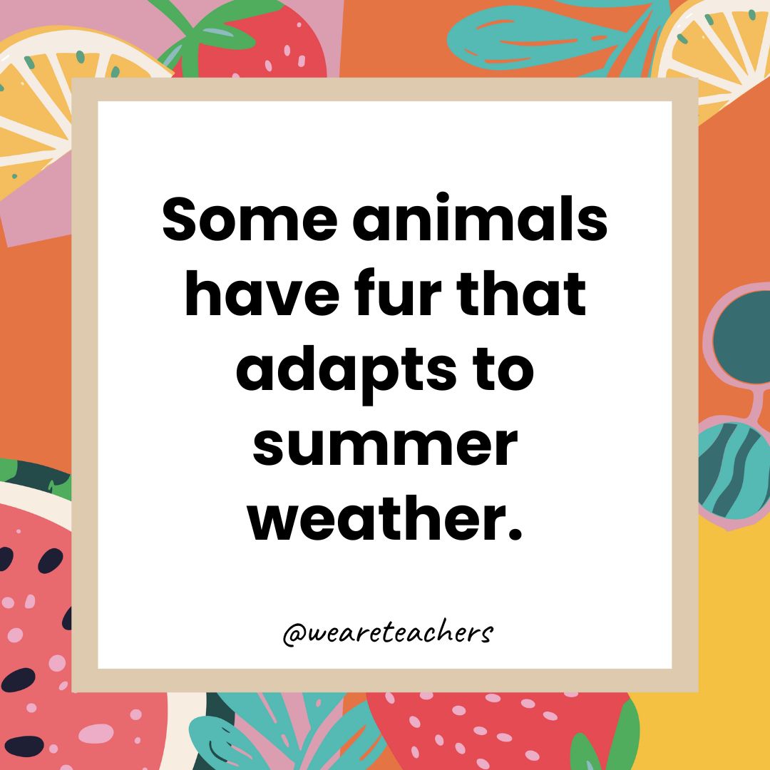 25 Fun and Fascinating Facts About Summer