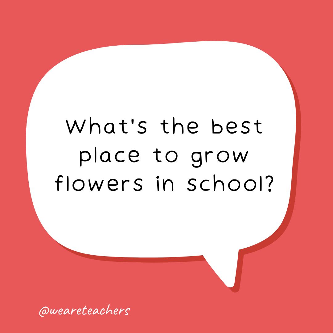 100 Funny School Jokes for Kids, Plus Google Slides - Asha Modern School