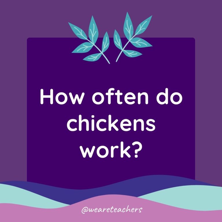 101 Hoot-larious Animal Jokes