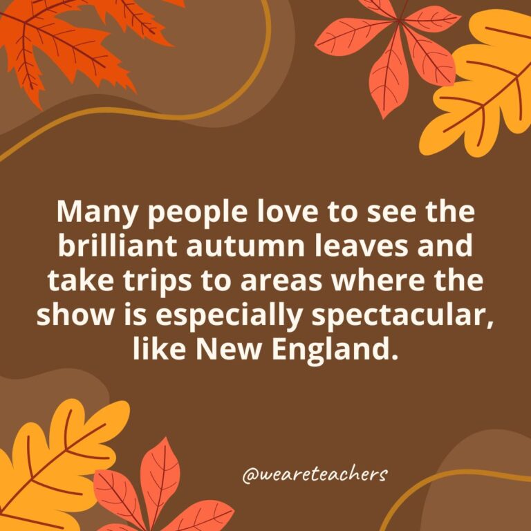 20 Fun and Fascinating Facts About Fall