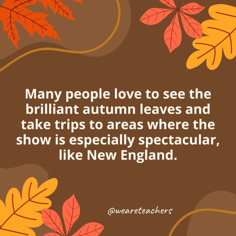 20 Fun and Fascinating Facts About Fall