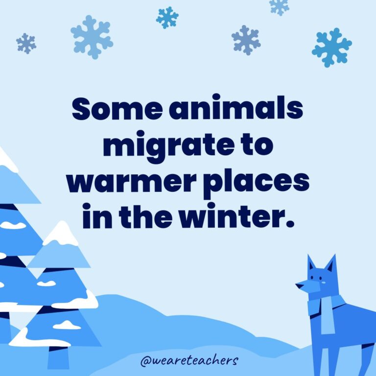 25 Fun and Fascinating Facts About Winter