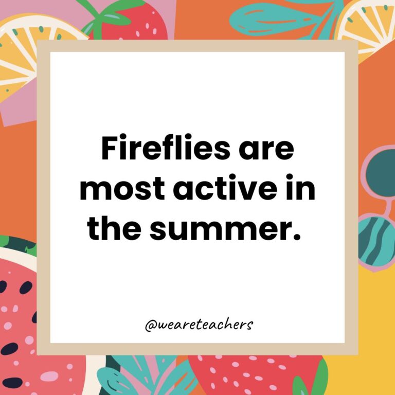 25 Fun and Fascinating Facts About Summer
