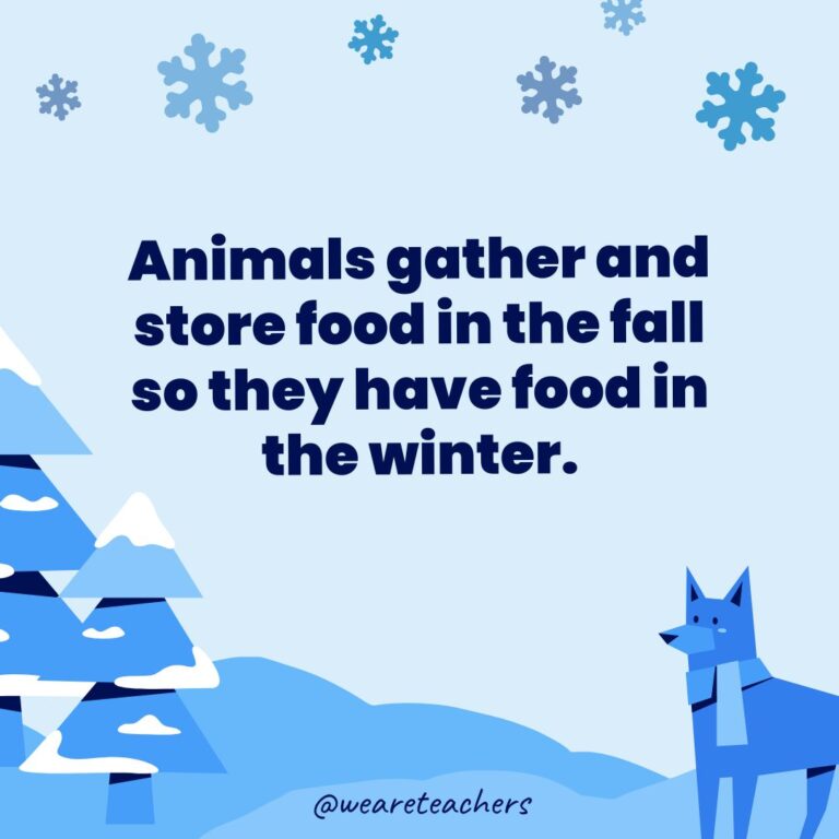 25 Fun and Fascinating Facts About Winter