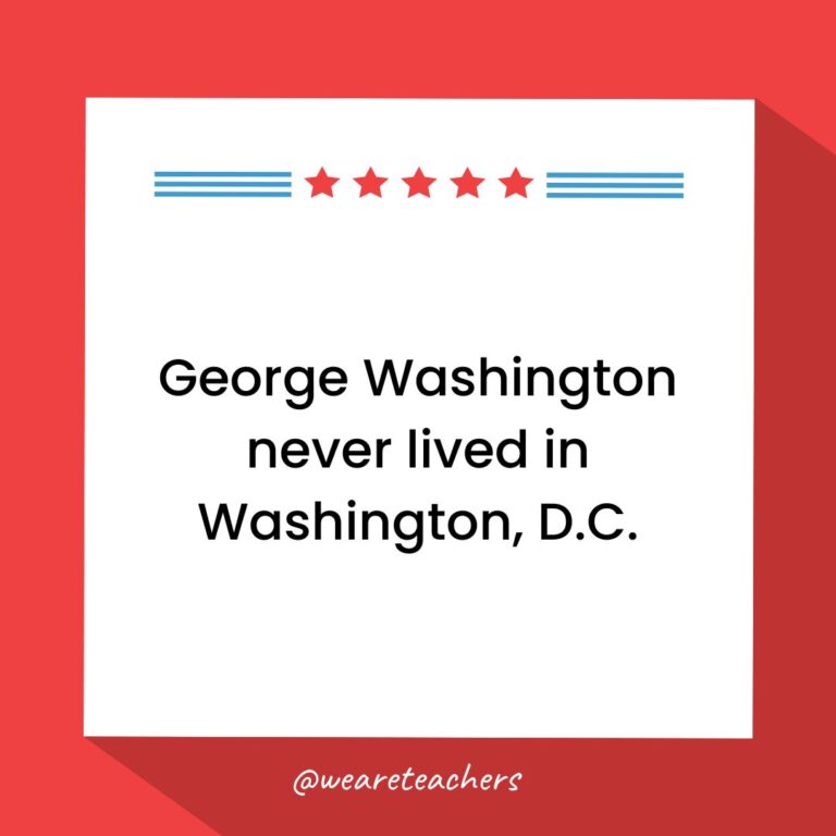 20 Fun Facts About George Washington
