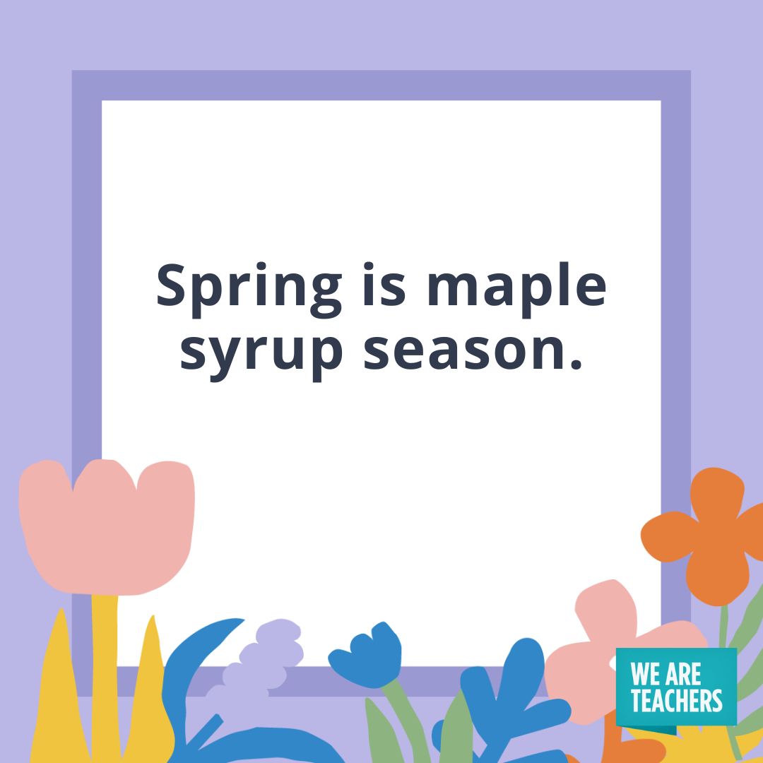 25 Fun Facts About Spring To Brighten Your Day - Saperap.com