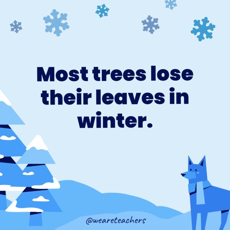25 Fun and Fascinating Facts About Winter