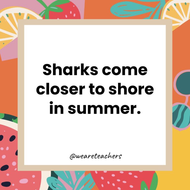 25 Fun and Fascinating Facts About Summer