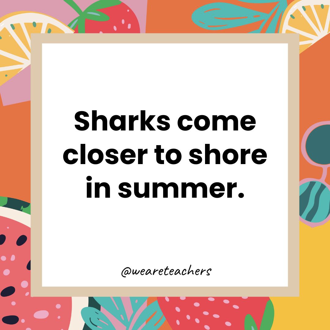 25 Fun and Fascinating Facts About Summer - March 2025