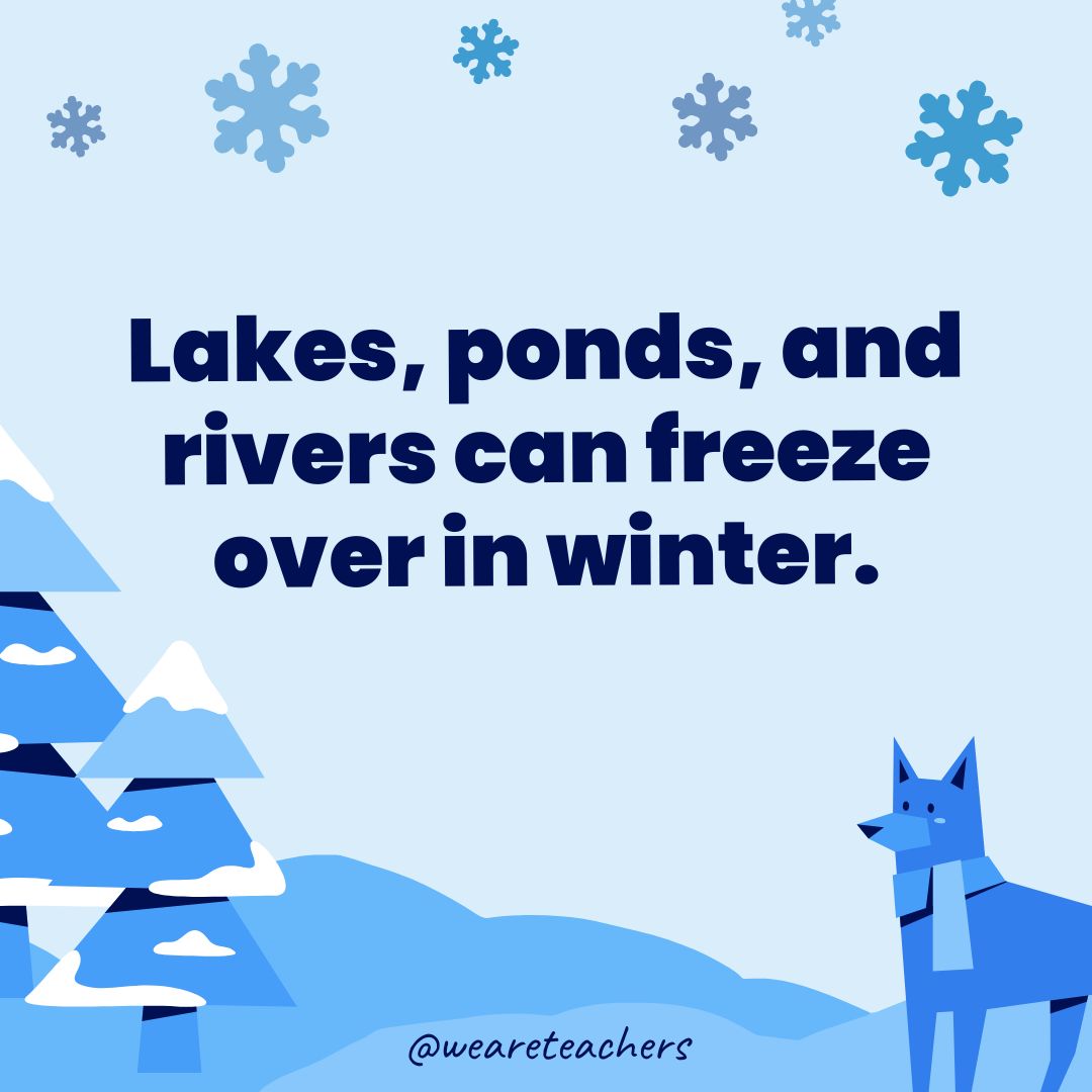 25 Fun and Fascinating Facts About Winter