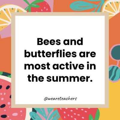 25 Fun and Fascinating Facts About Summer