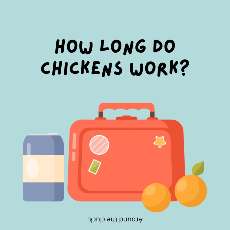 75 Hilarious Lunch Box Jokes for Kids