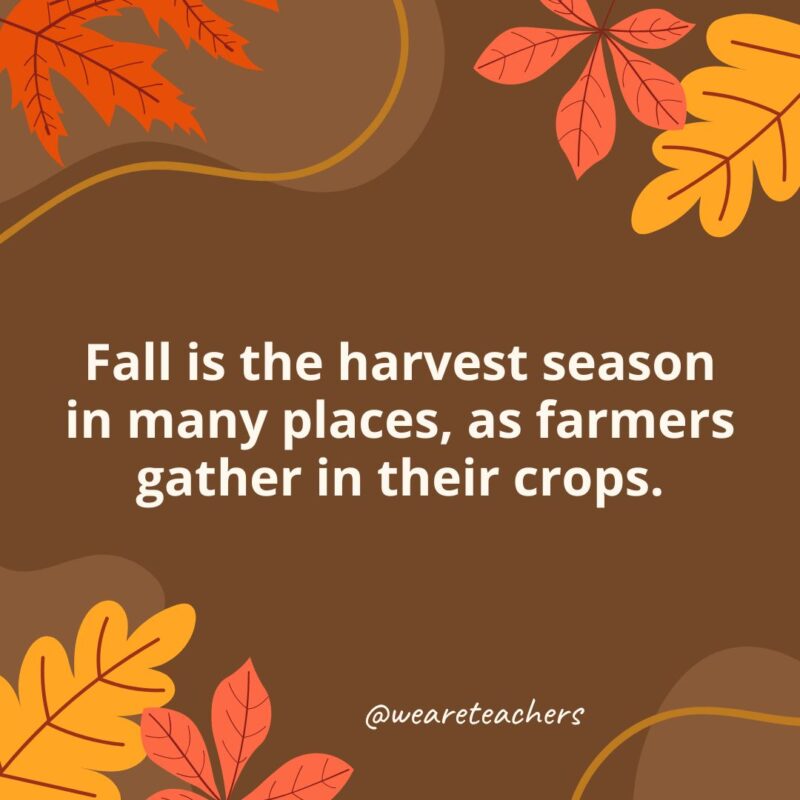 20 Fun and Fascinating Facts About Fall