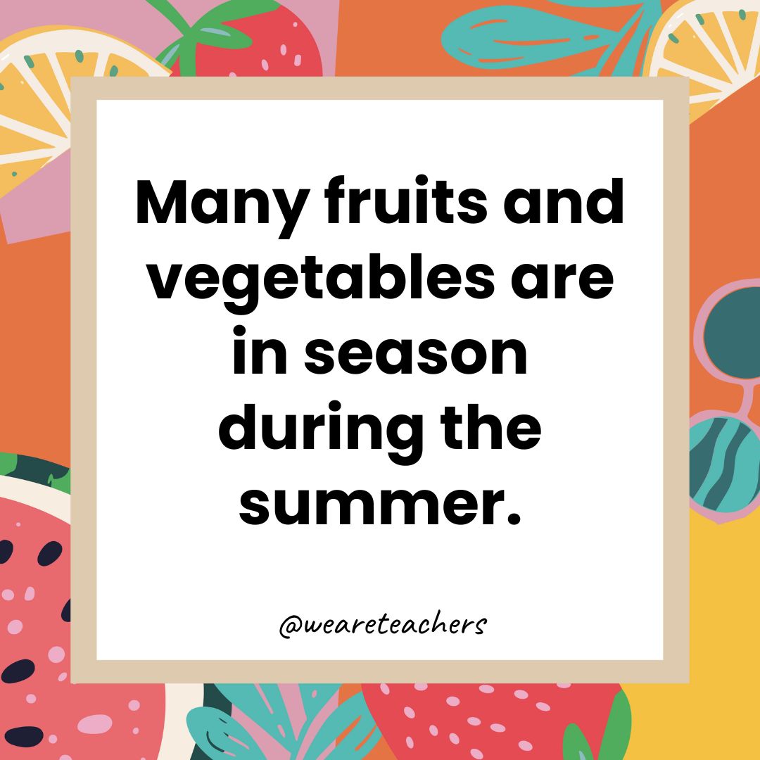 25 Fun and Fascinating Facts About Summer - March 2025