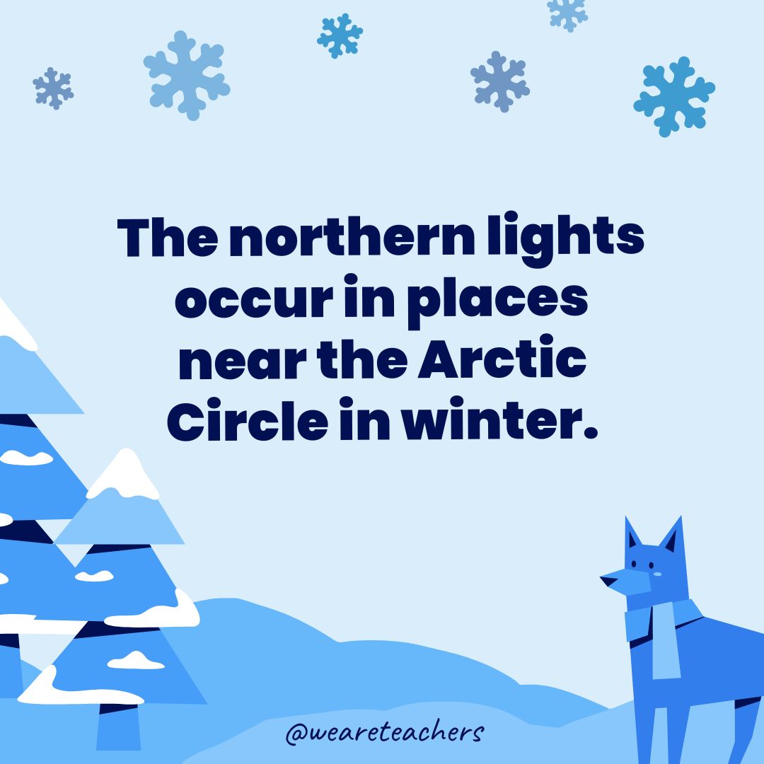 25 Fun and Fascinating Facts About Winter - Honct.com