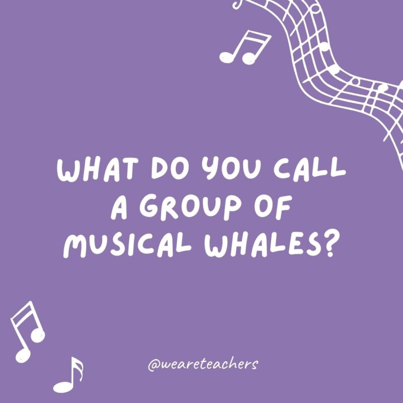100 Music Jokes Your Students Will Love - Honct.com