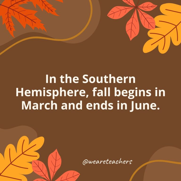 20 Fun and Fascinating Facts About Fall