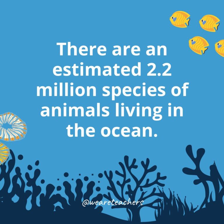 53 Ocean Facts That Will Amaze You