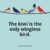 25 Incredible Bird Facts That Help Learning Take Flight