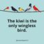 25 Incredible Bird Facts That Help Learning Take Flight