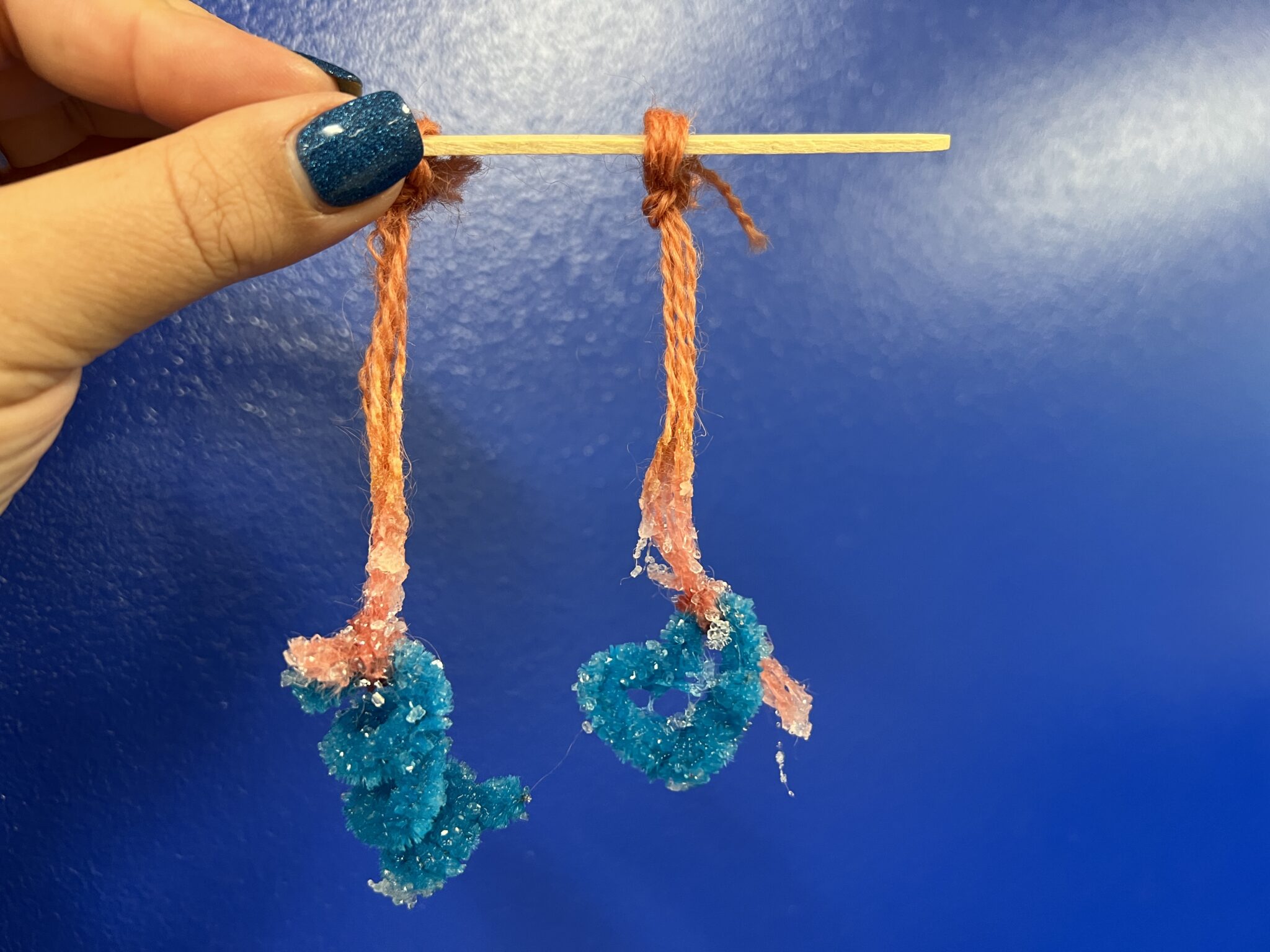 50 Fabulous 1st Grade Science Experiments and Projects To Try