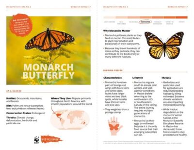 300+ Amazing Animal Facts for Kids