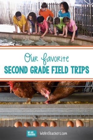 Our Favorite Second Grade Field Trips (Virtual and In-Person)
