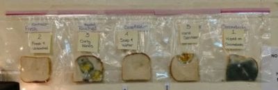 70 Fun and Easy Science Projects for 2nd Graders