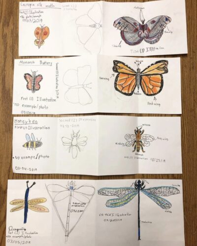 25 2nd Grade Art Projects To Spark Imagination and Creativity