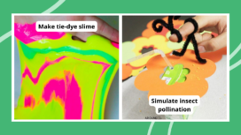 70 Fun and Easy Science Projects for 2nd Graders