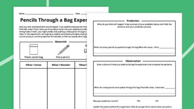 Pencil Through a Bag of Water Experiment: How-To & Worksheet