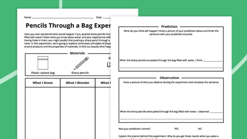 Pencil Through a Bag of Water Experiment: How-To & Worksheet