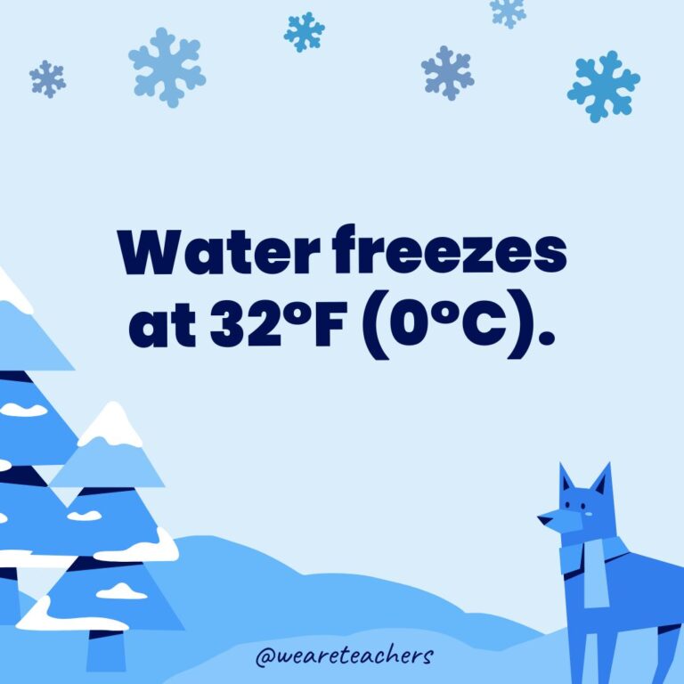 25 Fun and Fascinating Facts About Winter