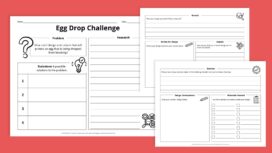 27 Best Egg Drop Challenge Ideas