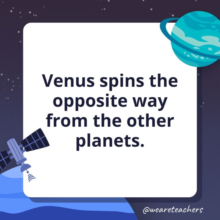 33 Fun Facts About Space for Curious Minds