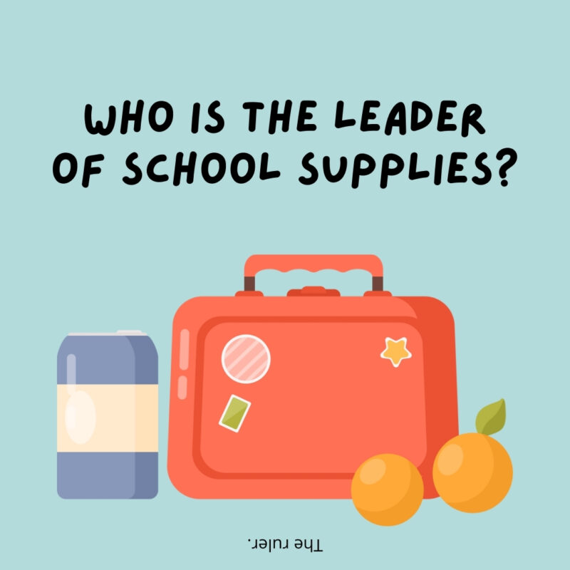 75 Hilarious Lunch Box Jokes for Kids