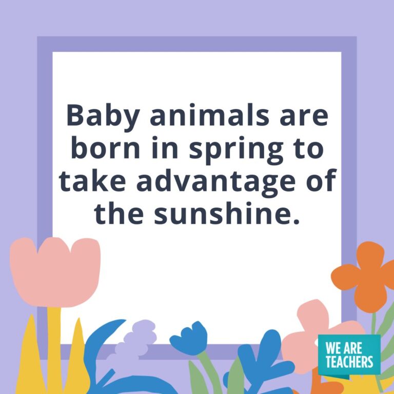 25 Fun Facts About Spring To Brighten Your Day