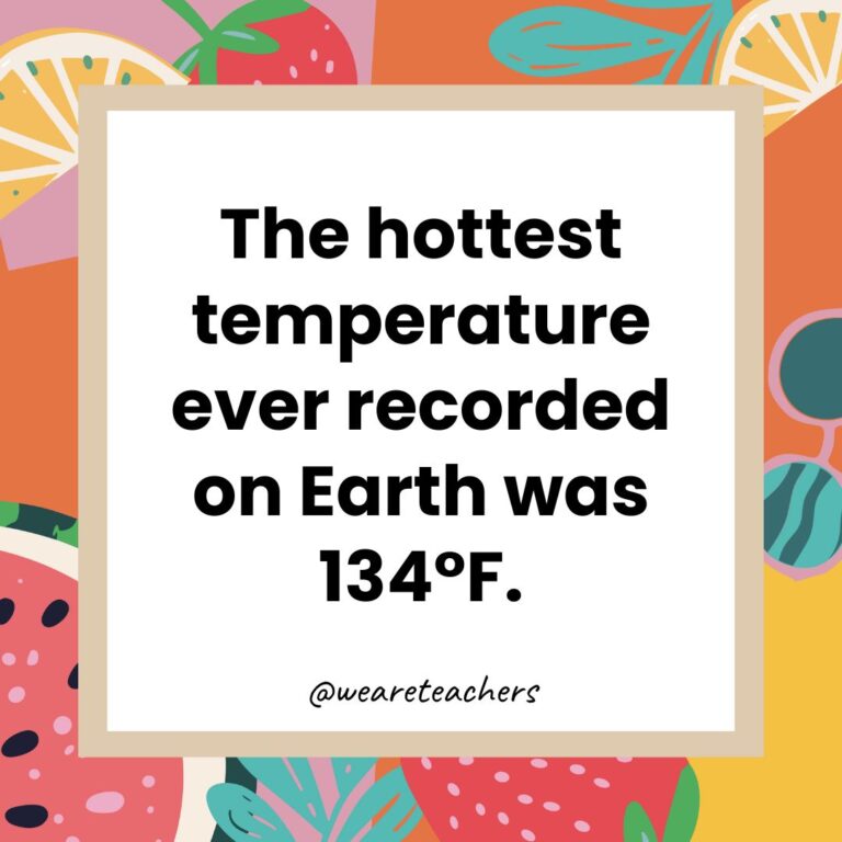 25 Fun and Fascinating Facts About Summer